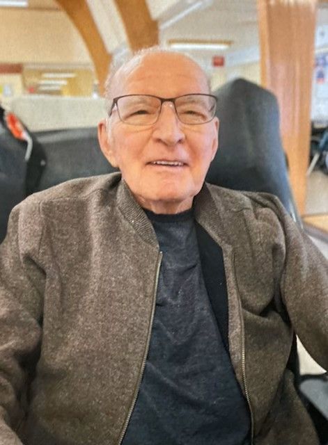 Almassy Metz Funeral and Cremation Services - Obituaries